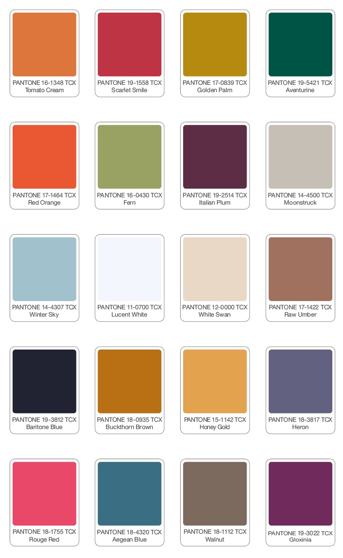 Verdadera Paleta De Colores De Invierno